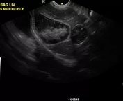 RVUS - Bringing Mobile Ultrasound To Canadian Veterinarians!